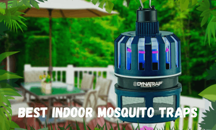6 Best Indoor Mosquito Trap Options For Your Home in 2020