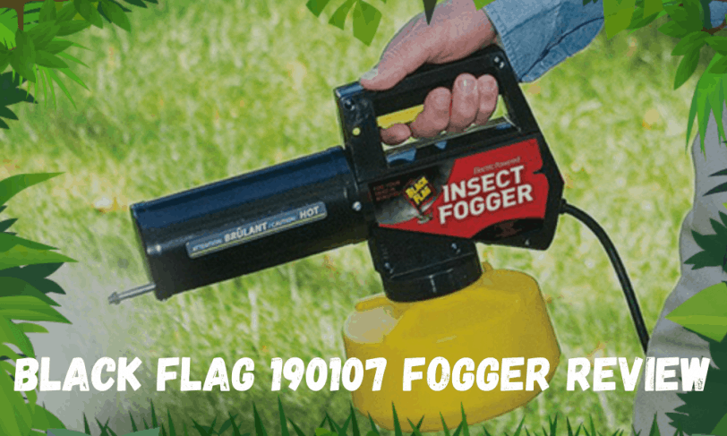 Black Flag 190107 Electric Insect Fogger 2020 Review