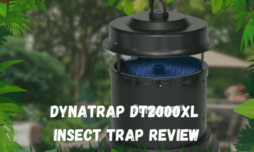 DynaTrap DT2000XL Insect Trap Review - Is It Effective?