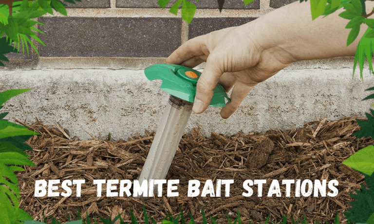 Best Termite Bait Stations To Consider in 2020 - Top 3 Picks