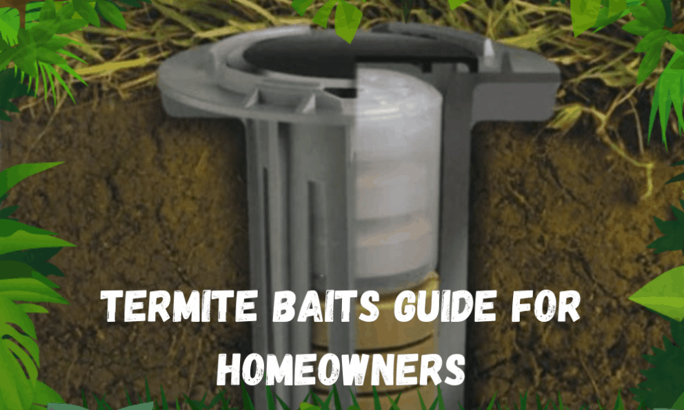 Termite Baits Guide for Homeowners [2020] Why & How It Works