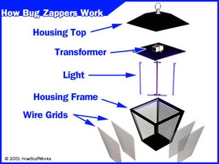 What is A Bug Zapper and How Does it Work - 2020 Guide