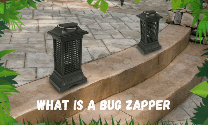 What is A Bug Zapper and How Does it Work - 2020 Guide