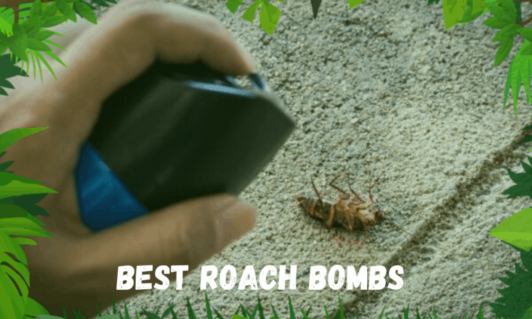 The Best Roach Bombs - Top 5 Options To Choose From in 2022 | Insect ...