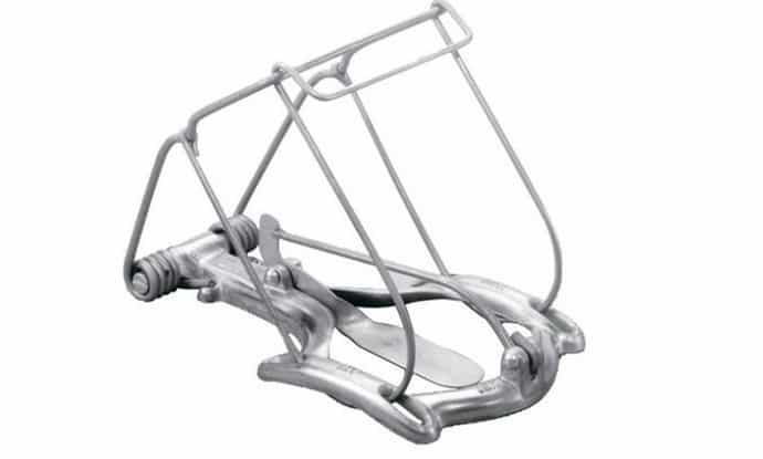 The Best Mole Traps To Consider in 2020 - 7 Top Picks