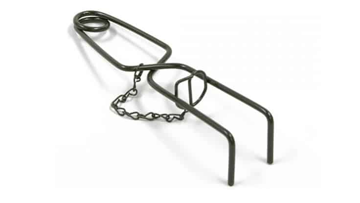 The Best Mole Traps To Consider in 2020 - 7 Top Picks