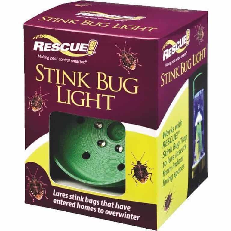 The 5 Best Stink Bug Traps For 2020 and Their Reviews