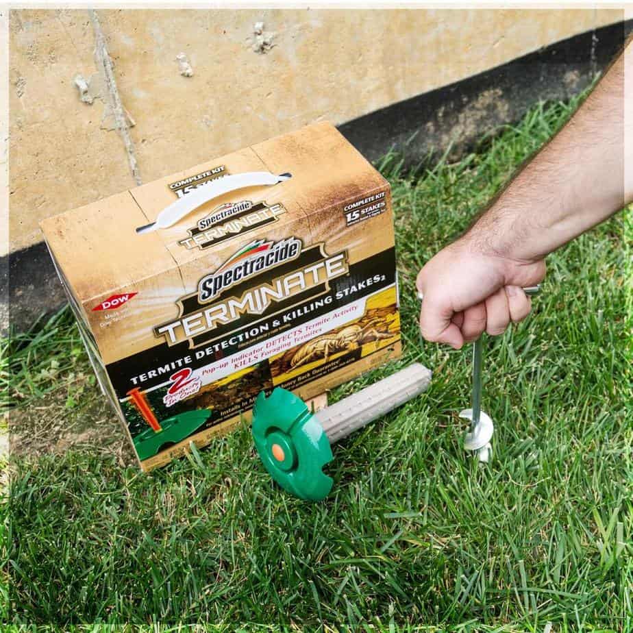 The Best Termite Killers – Our 5 Best Choices and Reviews | Insect Hobbyist