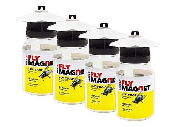 5 Best Fly Trap Reviews in 2022 - Do You Need One? | Insect Hobbyist