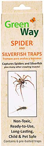 10 Best Silverfish Traps in 2021 You Should Know Of | Insect Hobbyist