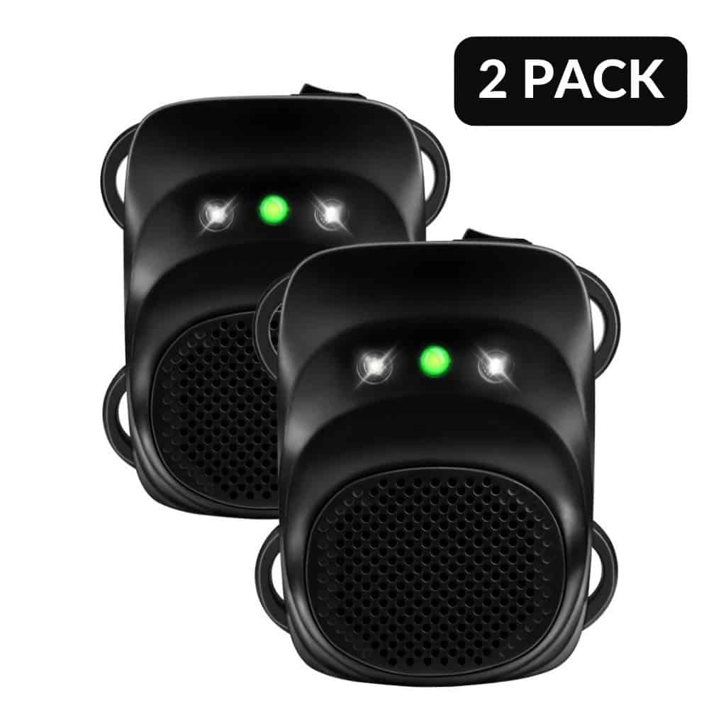 10 Best Mouse Repellents | Insect Hobbyist