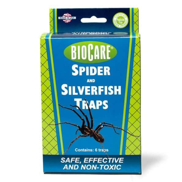10 Best Silverfish Traps in 2021 You Should Know Of | Insect Hobbyist