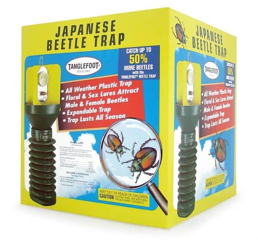 The Best Japanese Beetle Traps in 2020 - Which To Choose?