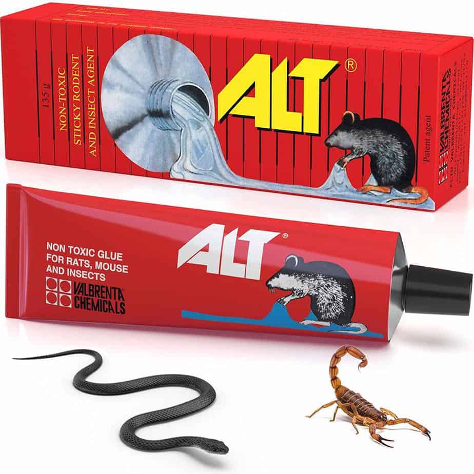 10 Best Silverfish Traps in 2021 You Should Know Of | Insect Hobbyist