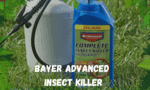 Bayer Advanced Insect Killer Review [2020] Is It Any Good?