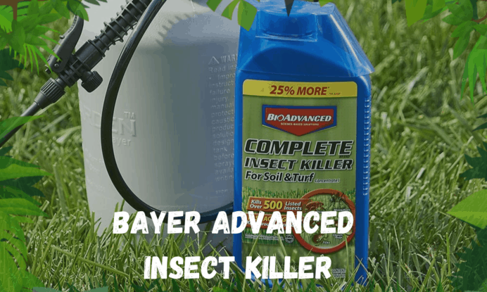 Bayer Advanced Insect Killer Review [2020] Is It Any Good?