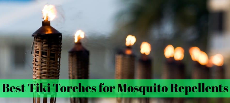 Best Tiki Torches for Mosquito Repellents | Insect Hobbyist