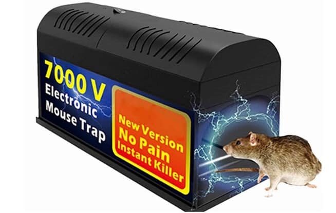 10 Best Electric Mouse Traps to Use in 2022 | Insect Hobbyist