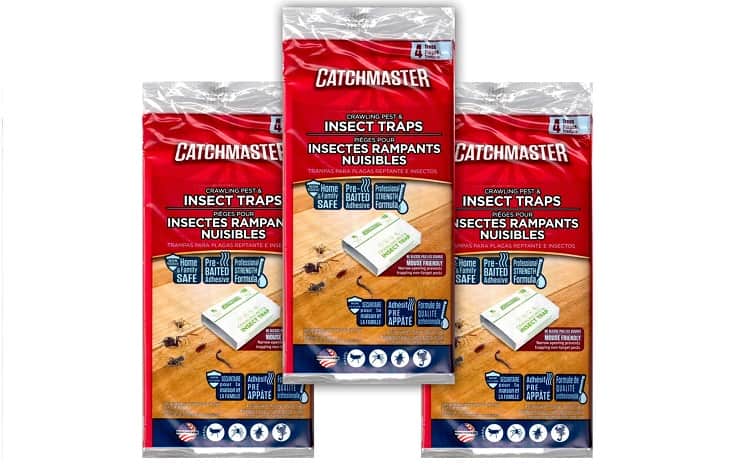 10 Best Silverfish Traps in 2020 You Should Know Of | Insect Hobbyist