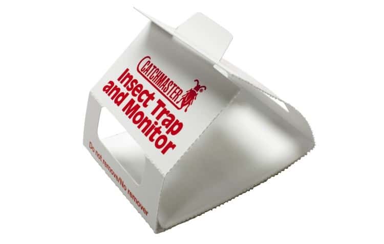 10 Best Silverfish Traps in 2020 You Should Know Of | Insect Hobbyist