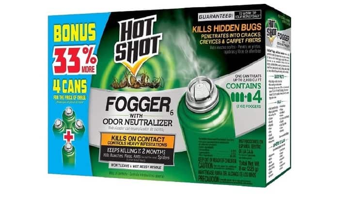 5 Best Spider Bombs Review [2021] Which To Choose? | Insect Hobbyist