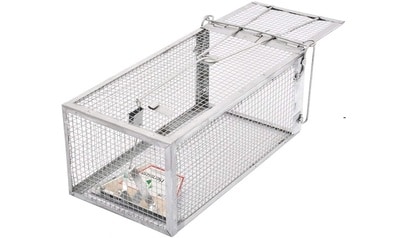 The Best Snake Traps - 10 Top Choices in 2022 | Insect Hobbyist