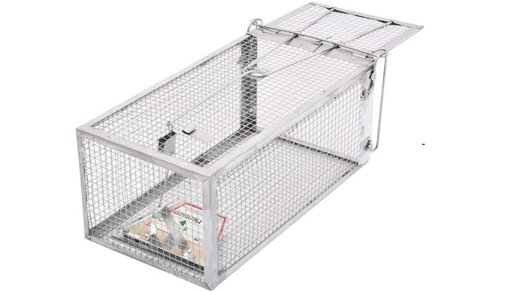 The Best Snake Traps - 10 Top Choices in 2022 | Insect Hobbyist