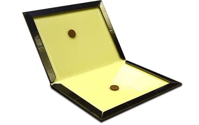 The Best Snake Traps - 10 Top Choices in 2022 | Insect Hobbyist