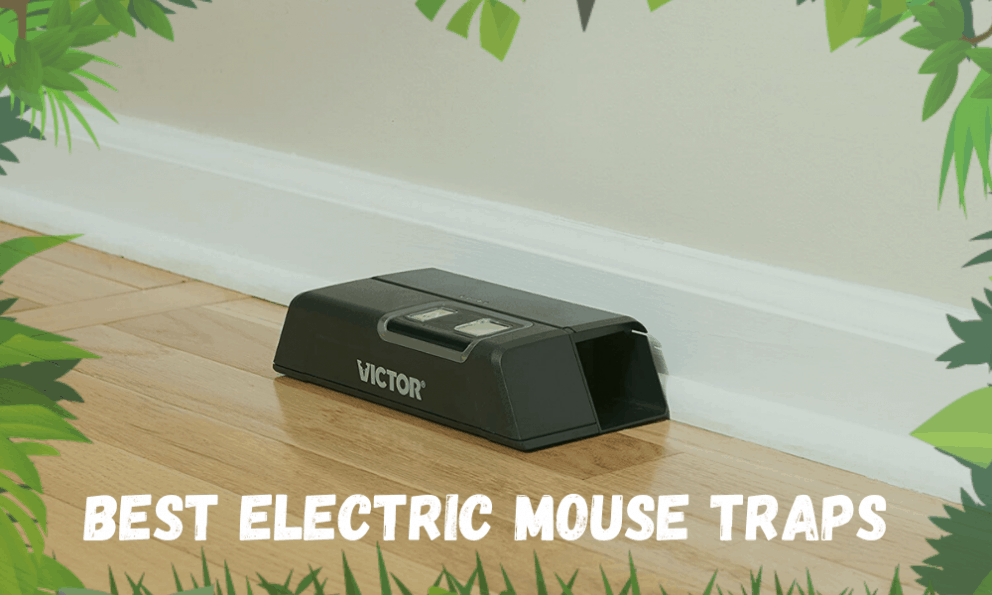 10 Best Electric Mouse Traps to Use in 2022 | Insect Hobbyist