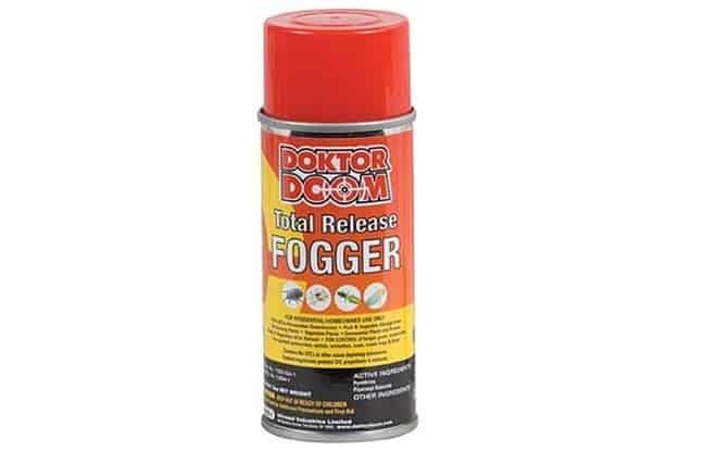5 Best Spider Bombs Review: Which To Choose? | Insect Hobbyist