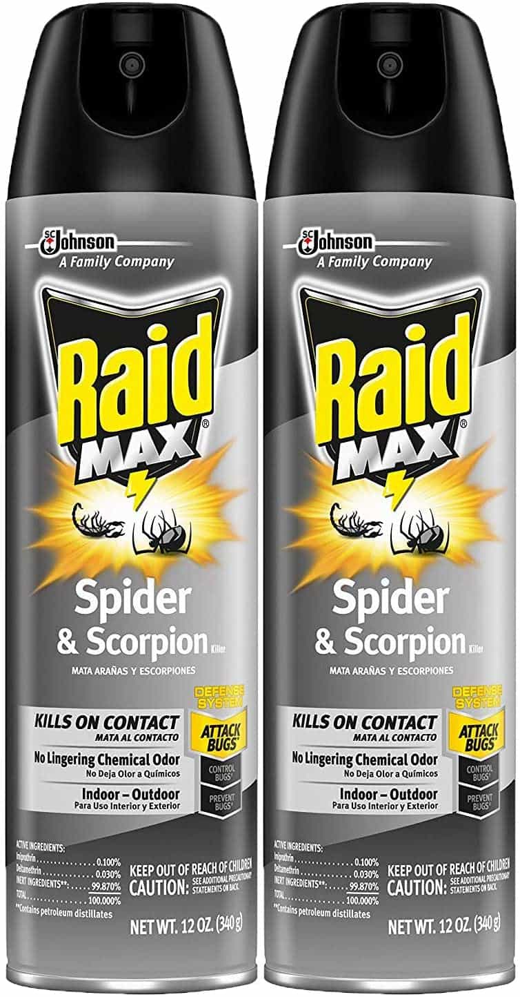 5 Best Scorpion Killers To Choose From in 2022 | Insect Hobbyist