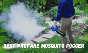 6 Best Propane Mosquito Fogger That Actually WORK [2020]