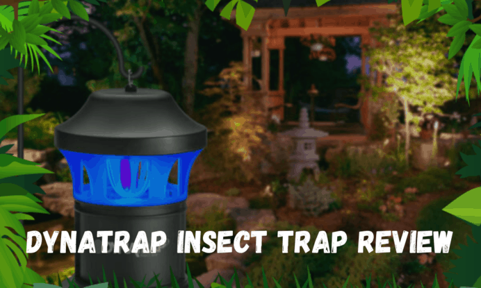 Dynatrap Insect Trap Review [2020] How Effective Is It?