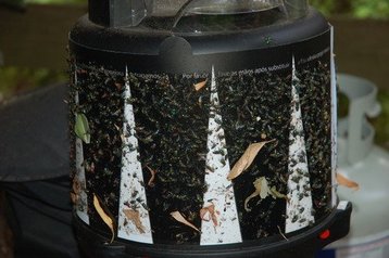 Best Propane Mosquito Trap (2020) | Reviews, Brands, & More